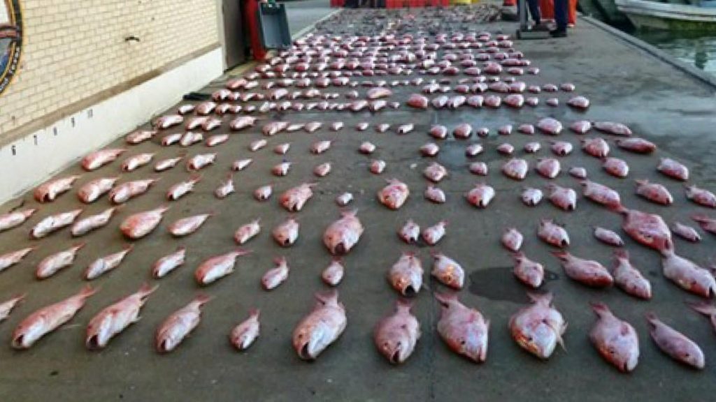 Coast Guard Interdicts 5 Boats with 6,000 Pounds of Illegal Fish ...