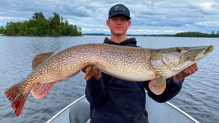 Anglers Break Pike Record and Tie Muskie Record - Wired2Fish