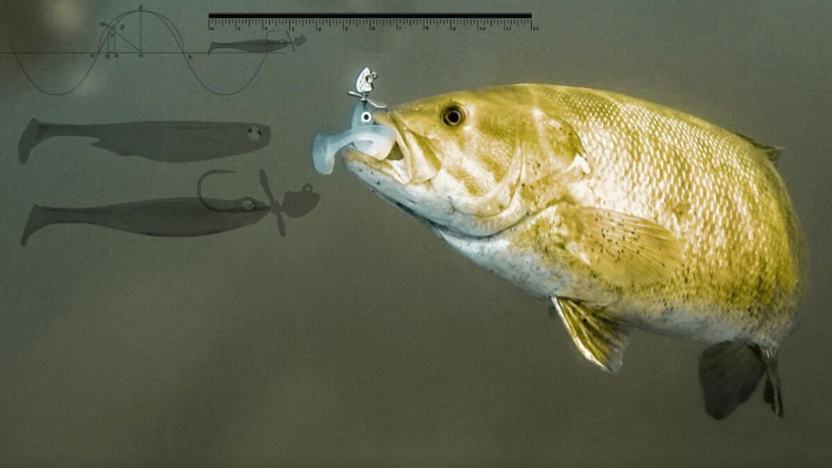 Finesse Swimbait Rigging Enhancements - Wired2Fish