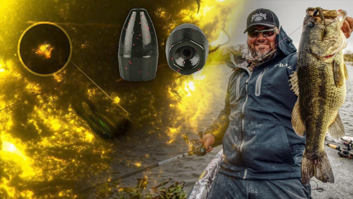 4 Beginner's Tips for Flipping Big Weights - Wired2Fish