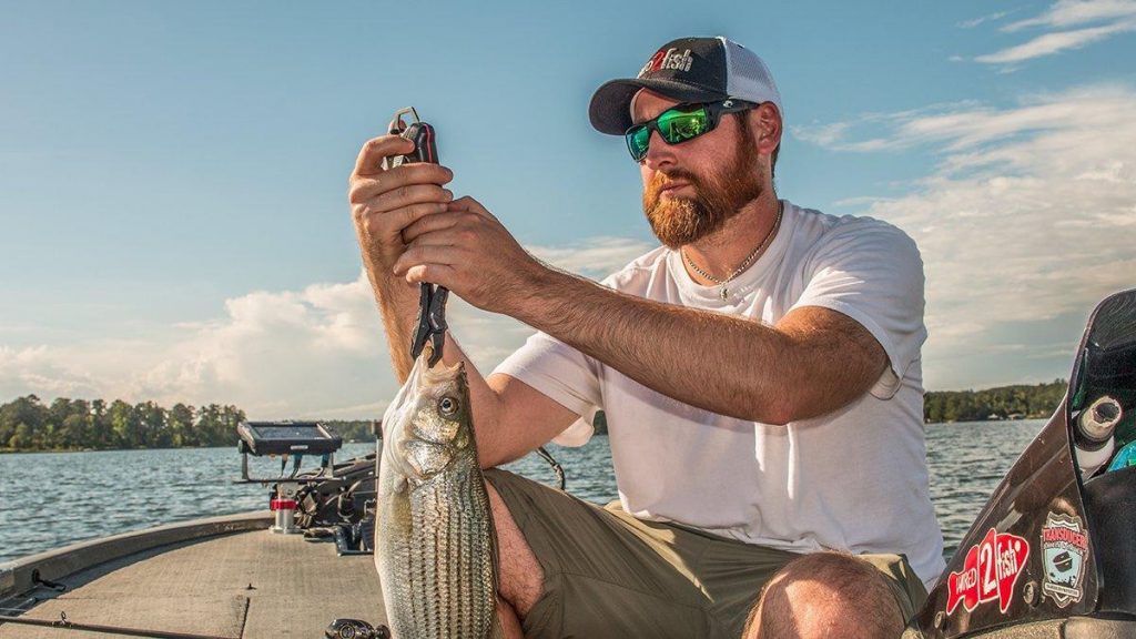 Rapala High Contrast Digital Scale Review - Wired2Fish