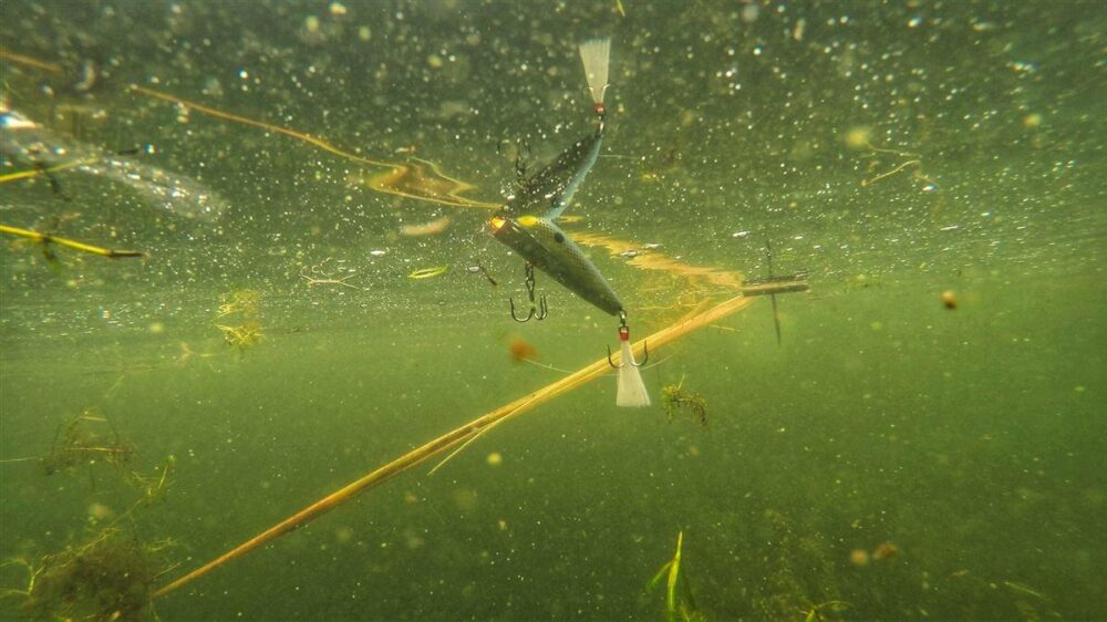 Fishing Small Poppers Around Grass - Wired2Fish