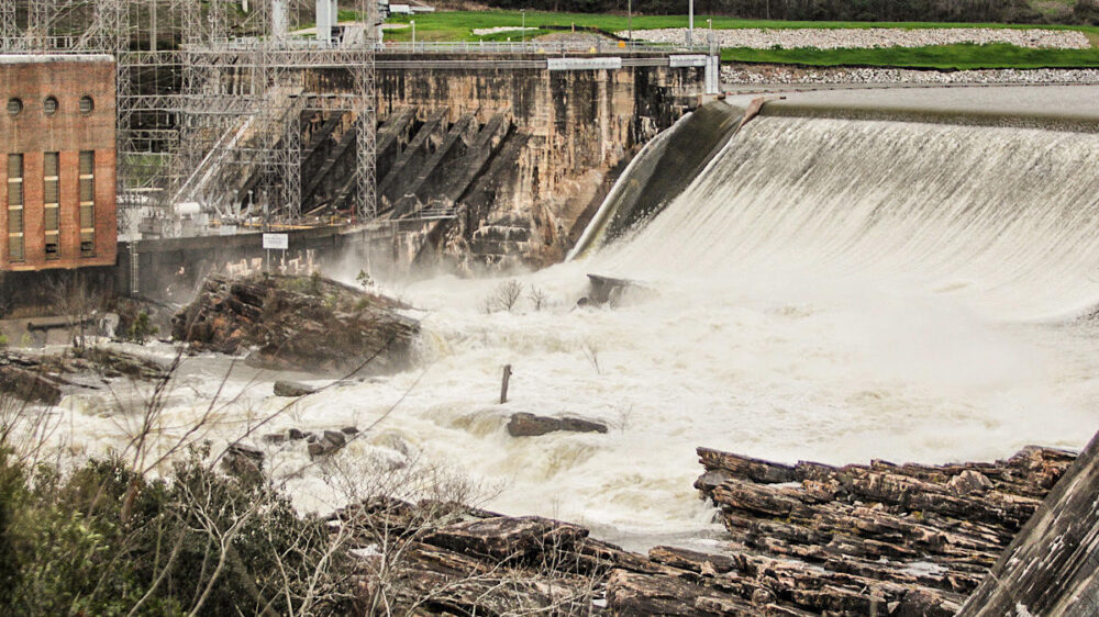 The Best Way to Fish Flooded Fisheries for Bass - Wired2Fish