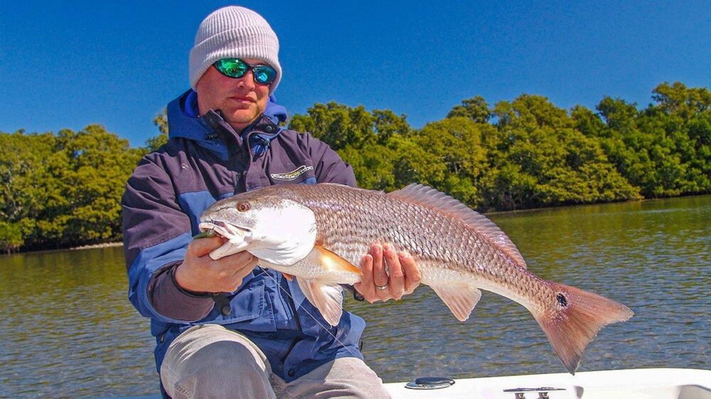 How to Catch Clear Water Redfish this Winter - Wired2Fish