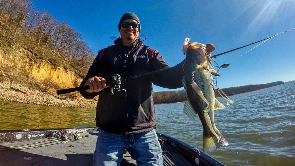 Alabama Rig | How to Fish and Rig It - Wired2Fish