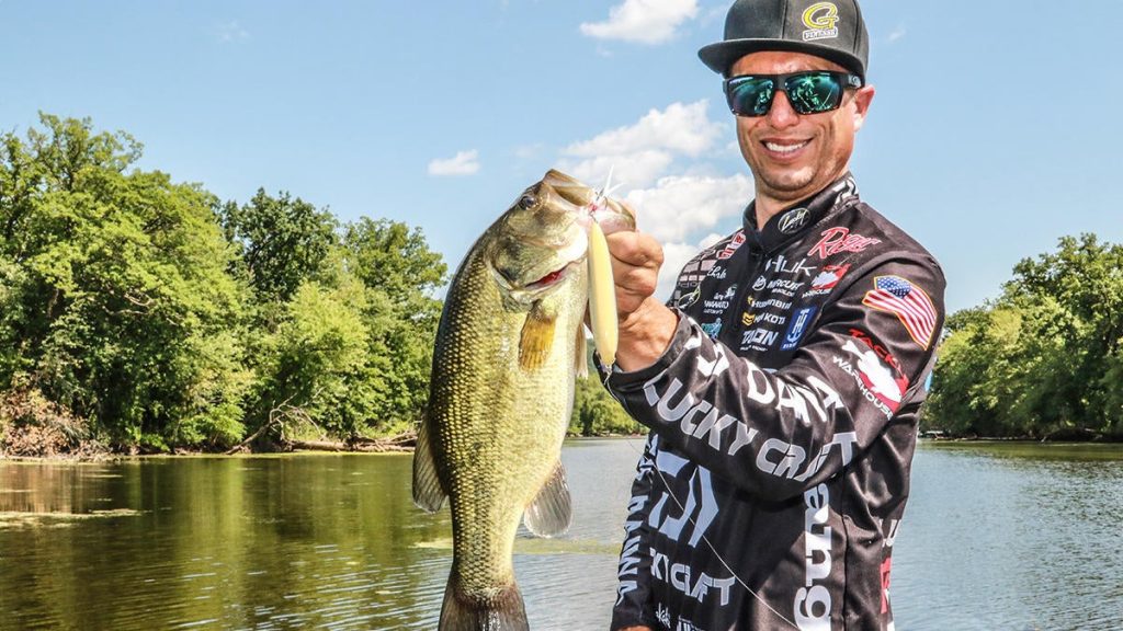 How to Maximize the Late Summer Topwater Bite - Wired2Fish