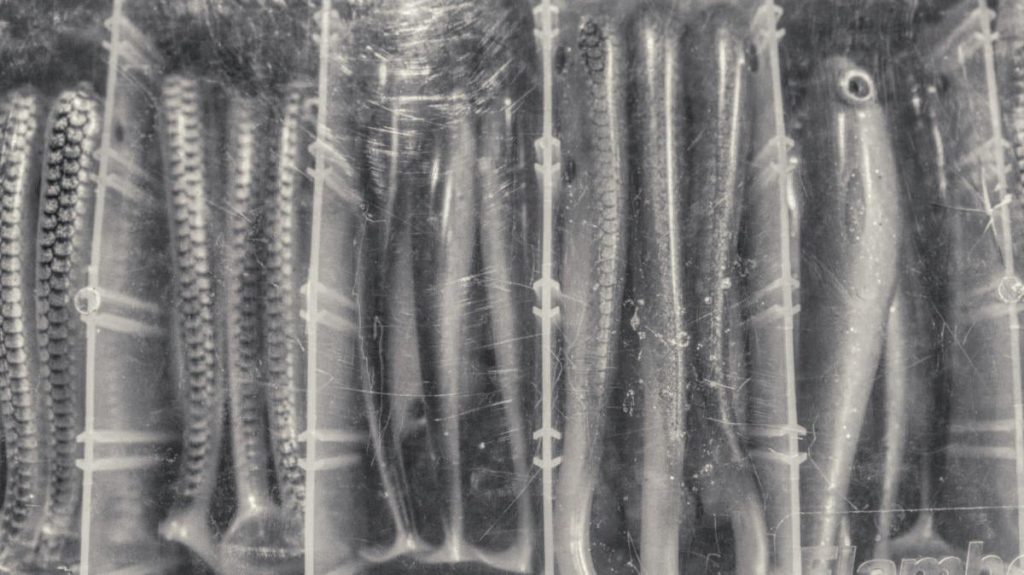 My Best Swimbait Storage Hack - Wired2Fish