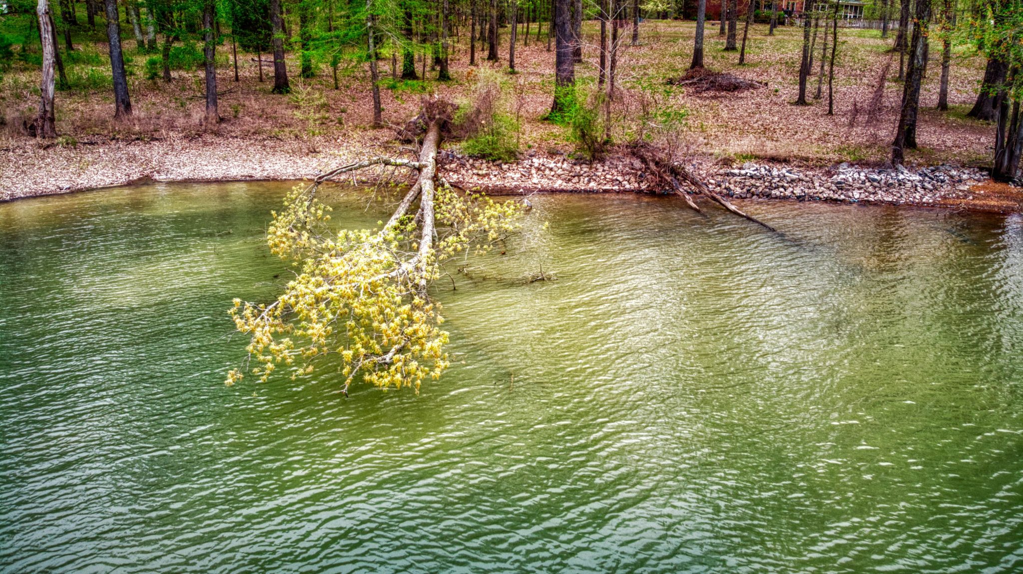 8 Tips to Catch Skittish Bass in Clear Water - Wired2Fish