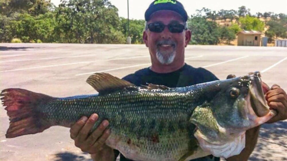 18-pound Bass Caught in California - Wired2Fish