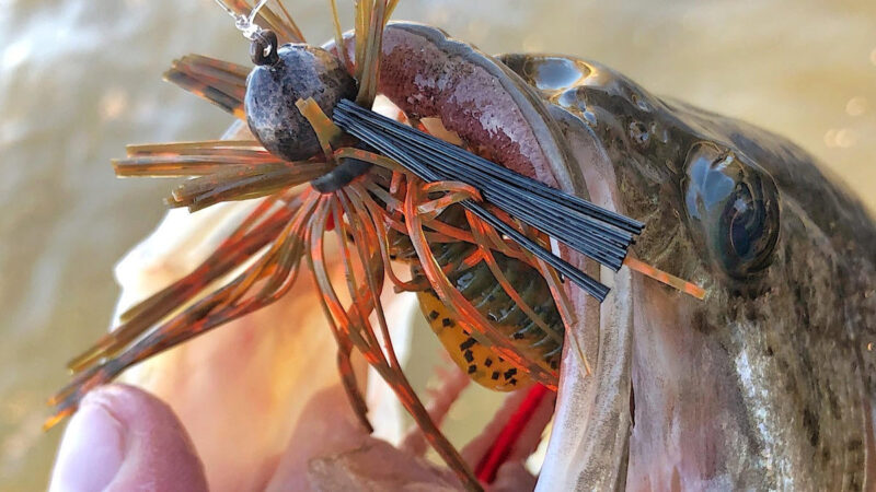 Jewel Baits Pro Spider Jig Review - Wired2Fish