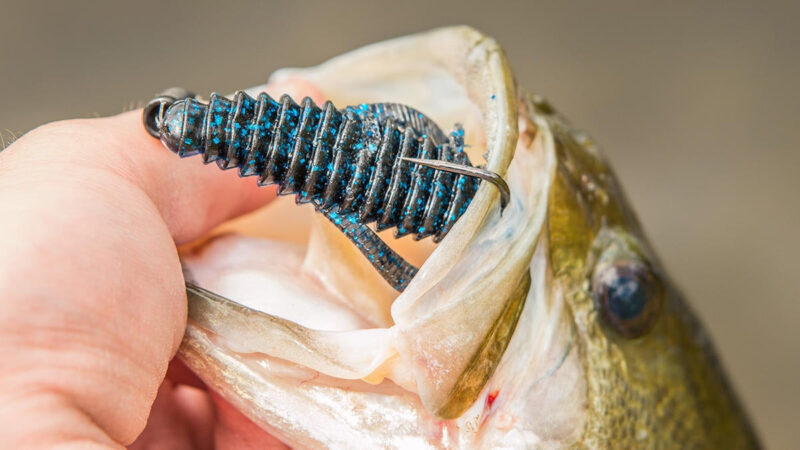 Strike King Rage Bug Review - Wired2Fish