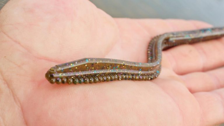 NetBait Flex Worm Review - Wired2Fish