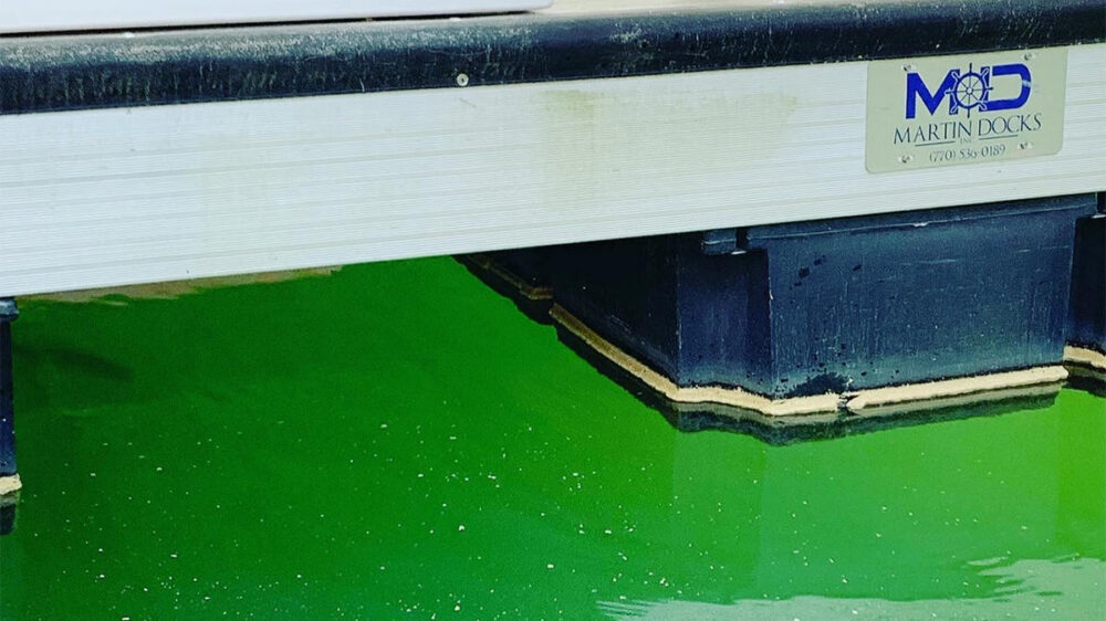 The Three-Step Approach to Fishing Floating Docks All Year Long ...