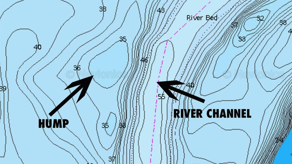 How to Catch Striped Bass in the Summer - Wired2Fish
