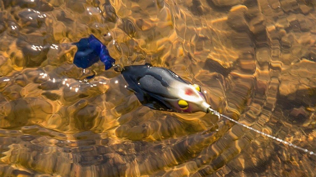 Teckel USA Sprinker Frog Review - Wired2Fish