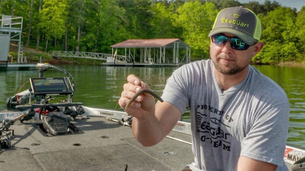 How to Wacky Rig Z-Man ElaZtech Without O-Rings - Wired2Fish