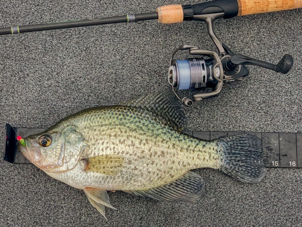 Improve Fall Crappie Fishing with Subtle Color Changes - Wired2Fish