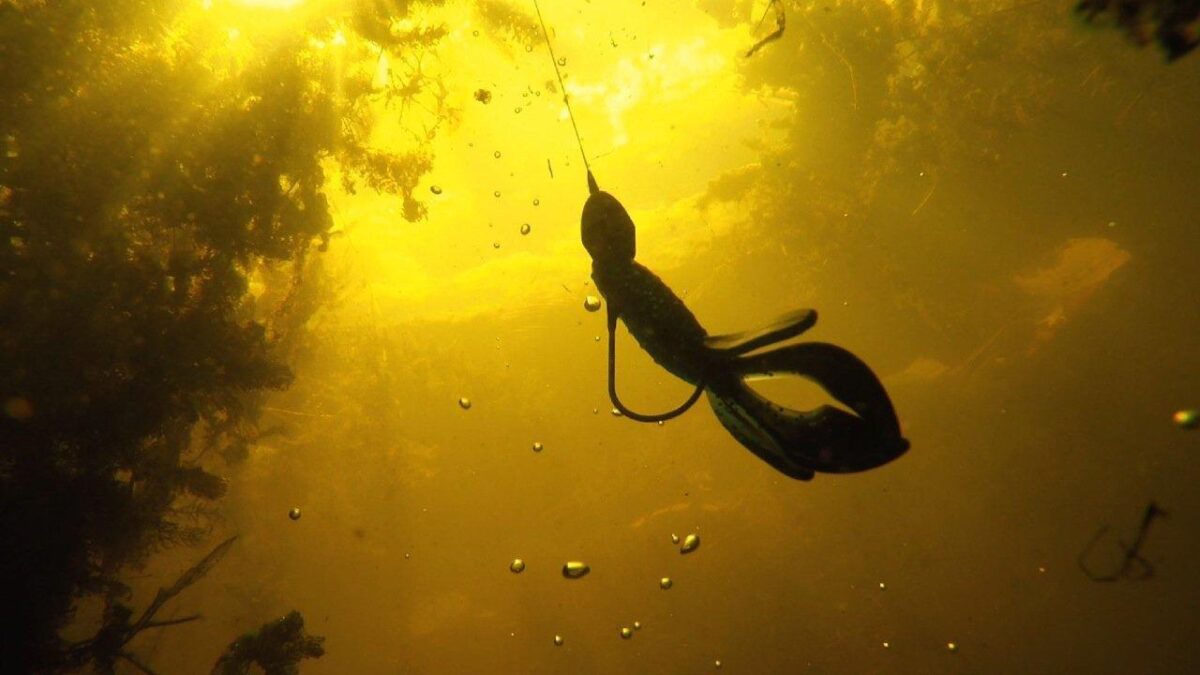 How to Flip for Bass Like a Pro - Wired2Fish