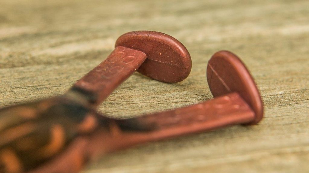 Zoom Frog Review - Wired2Fish