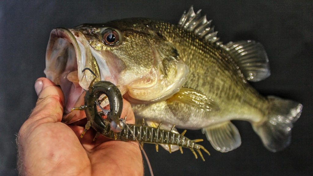 Tackle HD Mega Mite Review - Wired2Fish