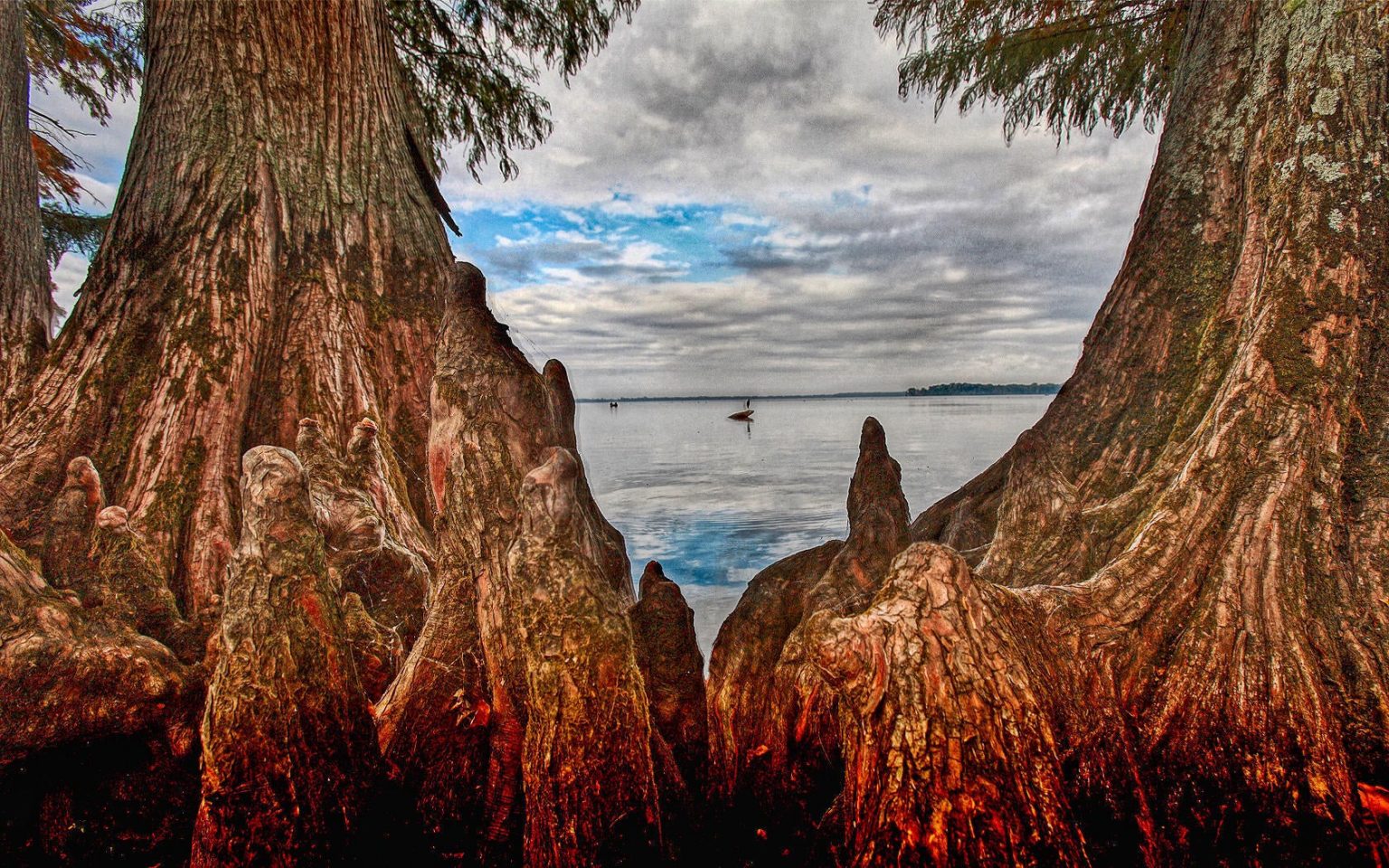 What You are Really Fishing when You Fish a Stump - Wired2Fish