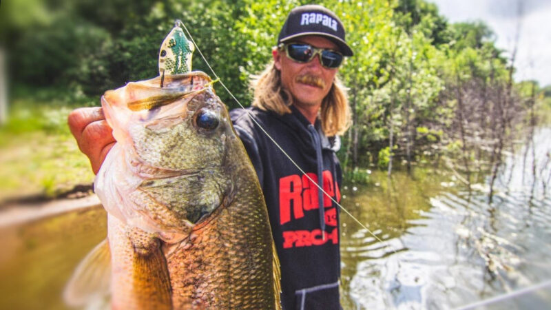 Frog Fishing Tips for More Bass: Size and Color Matters - Wired2Fish