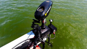 Rite-Hite Turret Livescope Mount Review - Wired2Fish
