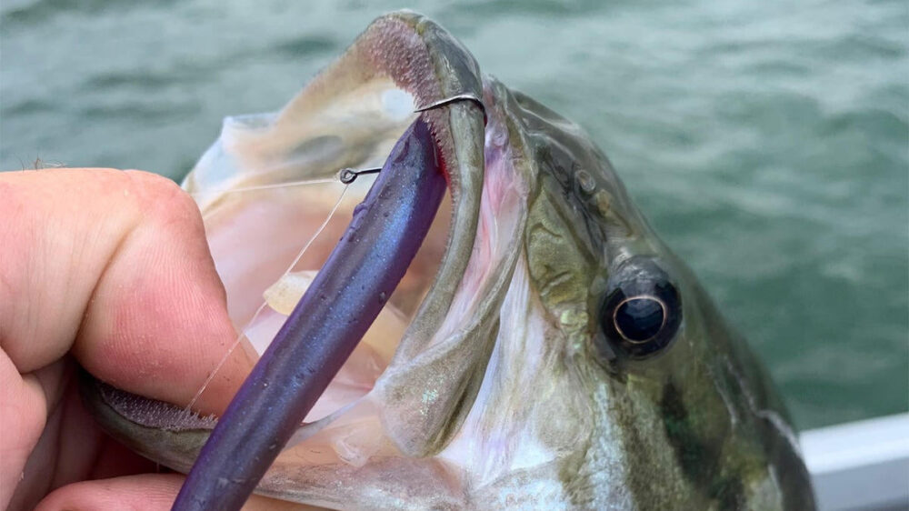 Why Drop Shotting Isn't Always Vertical - Wired2Fish