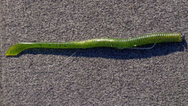 Introducing the Chicken Rig for Bass Fishing - Wired2Fish