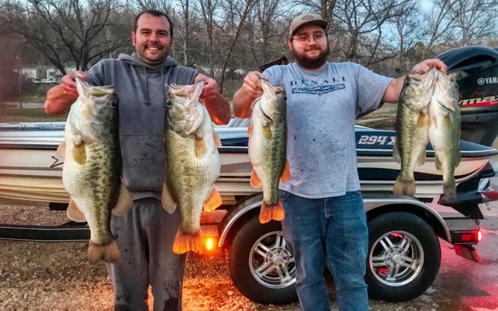 Huge Limit of Bass Caught on Kentucky Lake - Wired2Fish