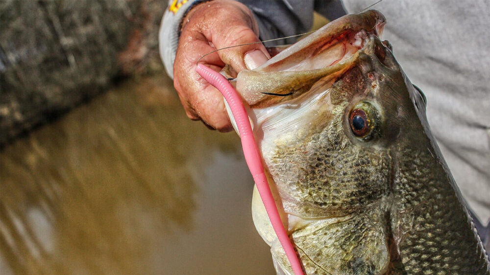 How to Power Fish with Floating Worms - Wired2Fish