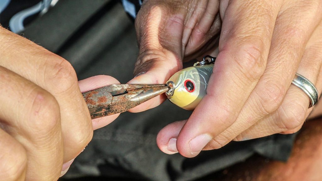 How to Maximize the Late Summer Topwater Bite - Wired2Fish
