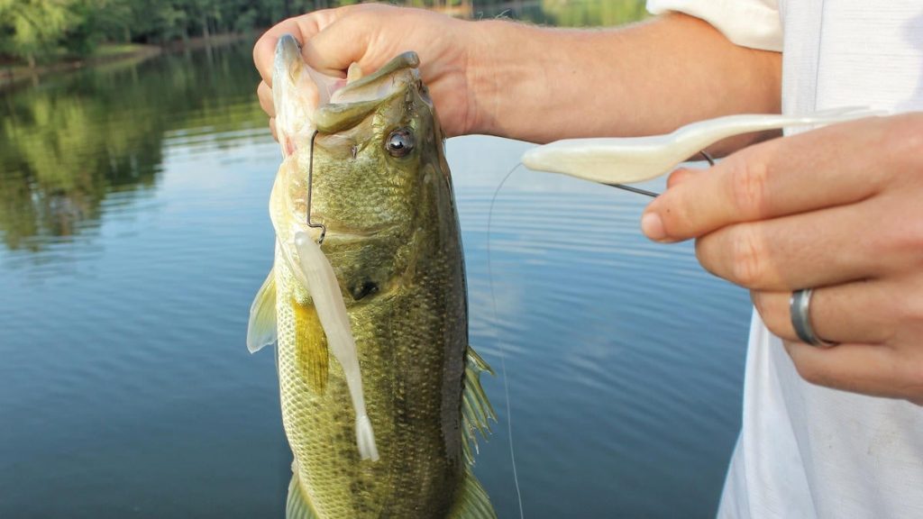 5 Effective Ways to Rig a Fluke for Bass Fishing - Wired2Fish