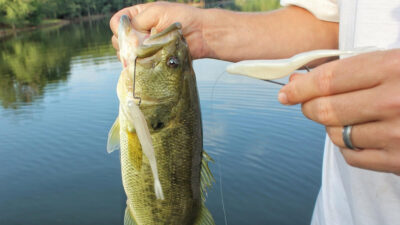 5 Effective Ways to Rig a Fluke for Bass Fishing - Wired2Fish