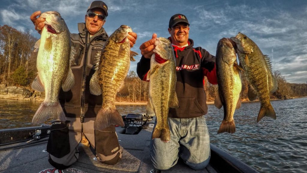 My Best Swimbait Storage Hack - Wired2Fish