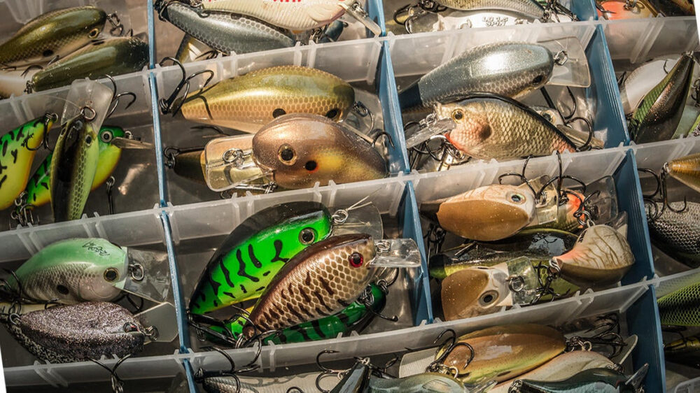 8 Cult-Classic Squarebills You Need to Own - Wired2Fish