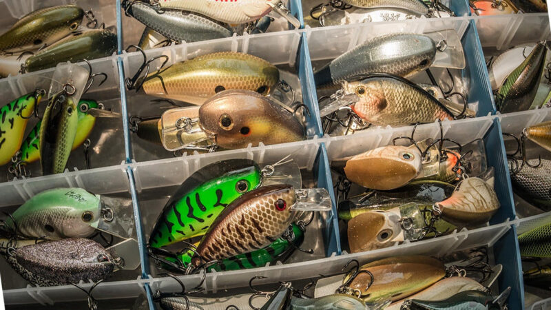 8 Cult-Classic Squarebills You Need to Own - Wired2Fish