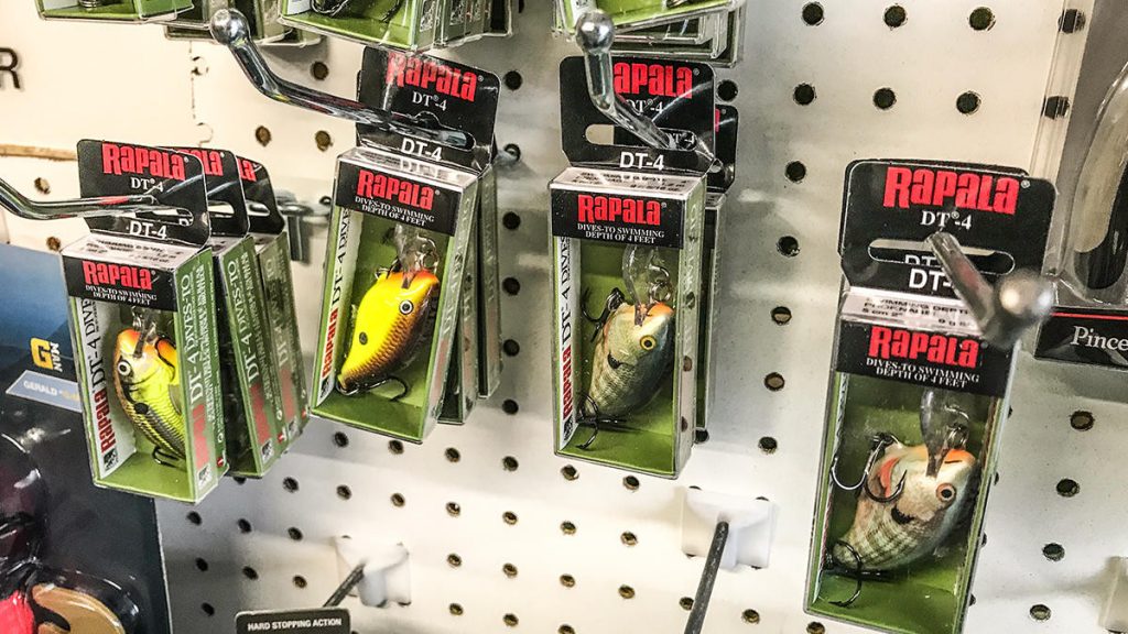 Rapala DT-4 Crankbait Review - Wired2Fish