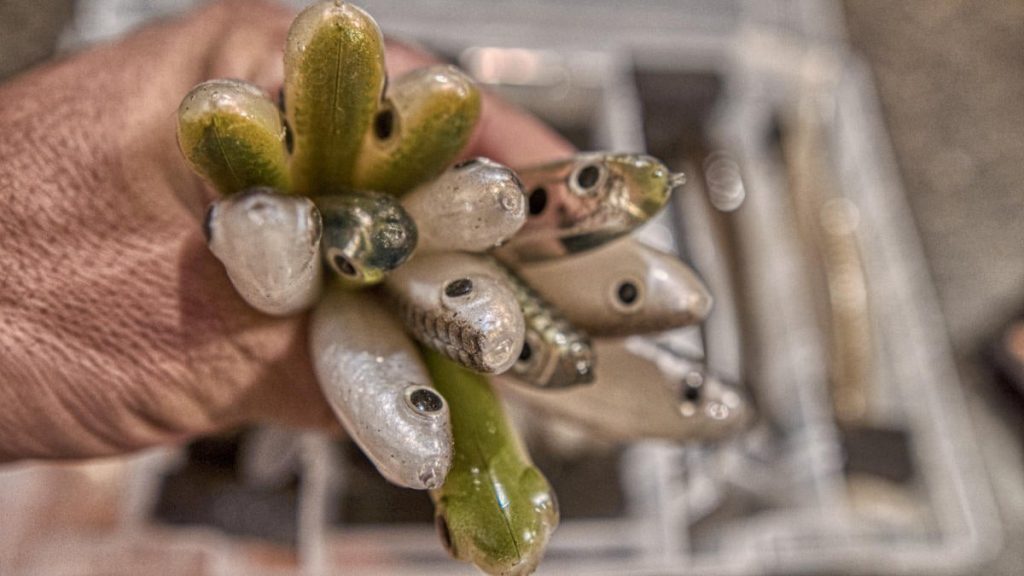 My Best Swimbait Storage Hack - Wired2Fish