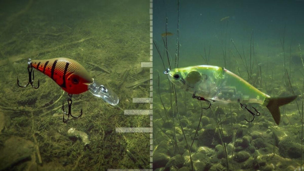 Livingston Lures | What it Looks and Sounds Like Underwater - Wired2Fish