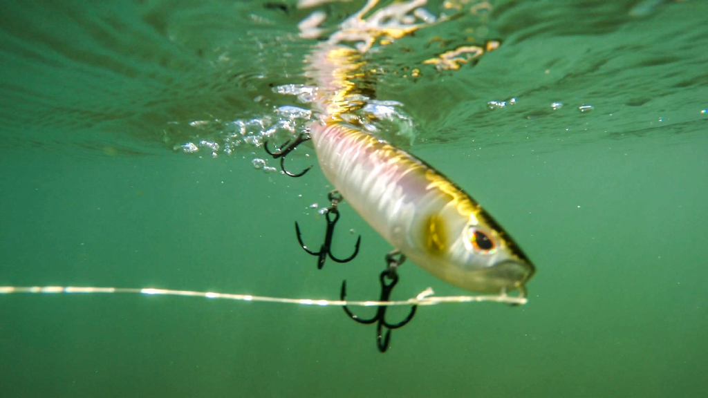 5 Must-Know Walking Topwater Tips for Bass - Wired2Fish