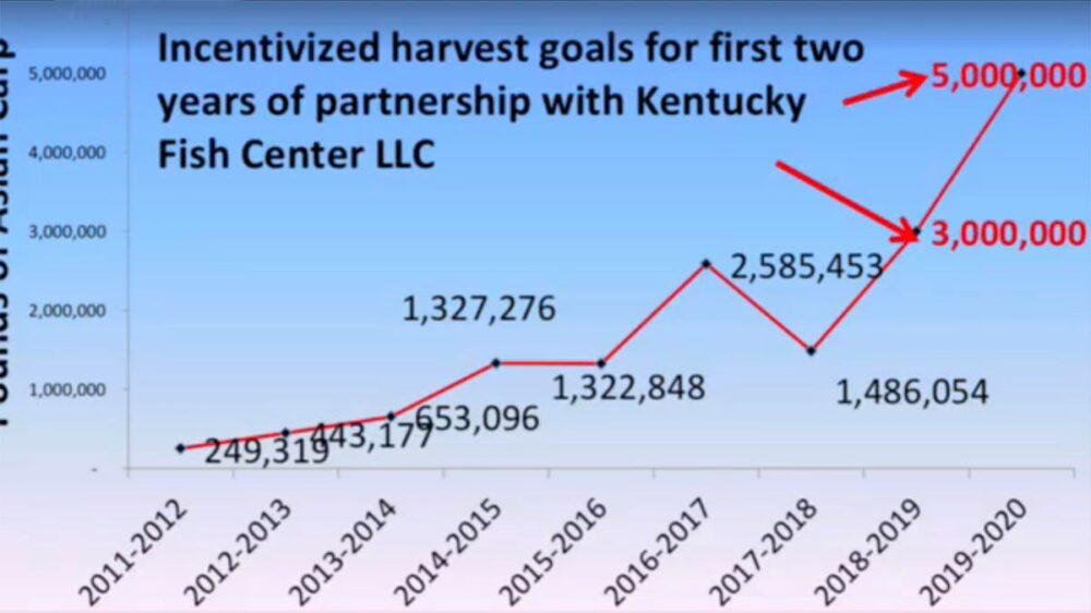 KY Biologists Optimistic about Carp Eradication Plan - Wired2Fish