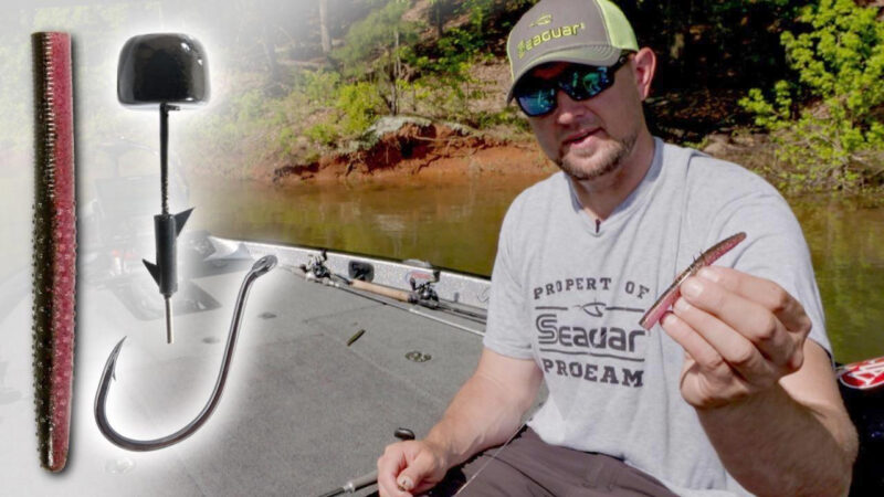 Neko Rig Tips for Shallow Bass | Spring Sight Fishing - Wired2Fish