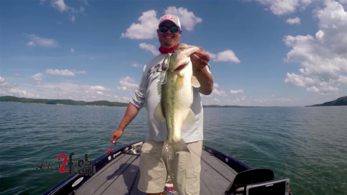 Jenko Fishing CD25 Deep Diving Crank Review - Wired2Fish