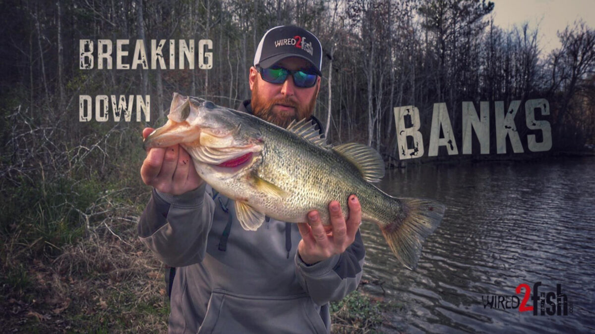 Proven Bank Fishing Tricks that Catch Bass - Wired2Fish