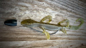 Tough Bite Right Now? Try Rigging a Lizard These 4 Ways. - Wired2Fish