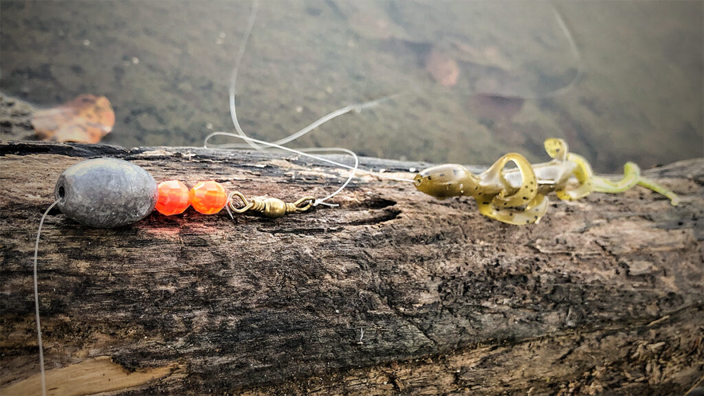 Tough Bite Right Now? Try Rigging a Lizard These 4 Ways. - Wired2Fish