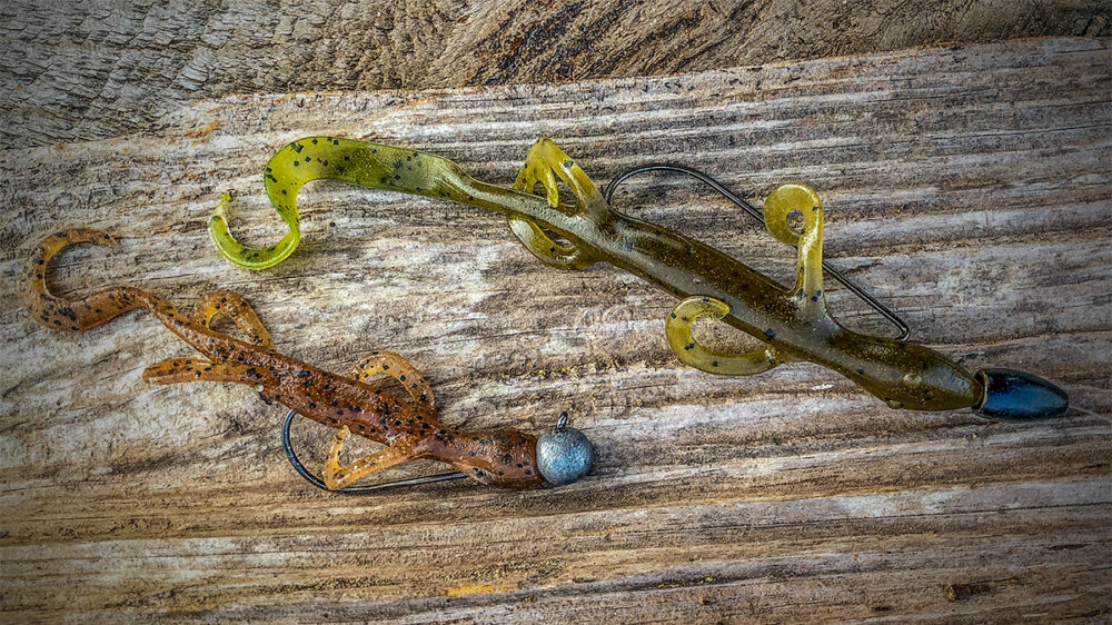 Tough Bite Right Now? Try Rigging a Lizard These 4 Ways. - Wired2Fish