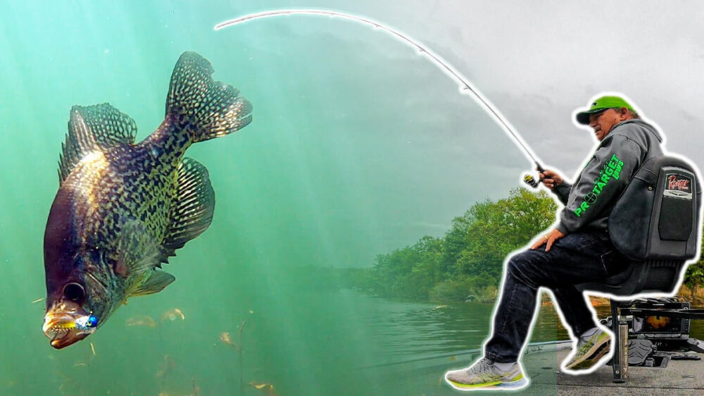 6 Tips for Successful Crappie Fishing - Wired2Fish
