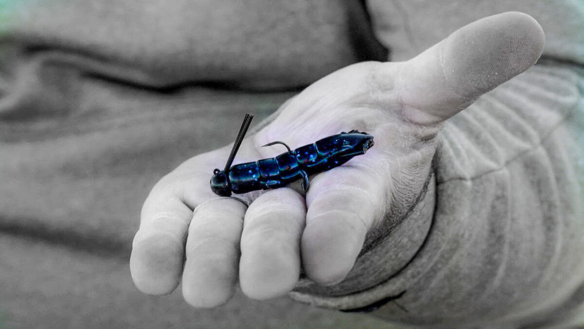 Top Ned Rig Setups for Reduced Snagging - Wired2Fish